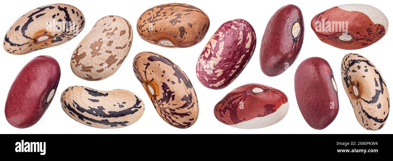 Collecte de haricots de rein, différents types de légumineuses isolées ...