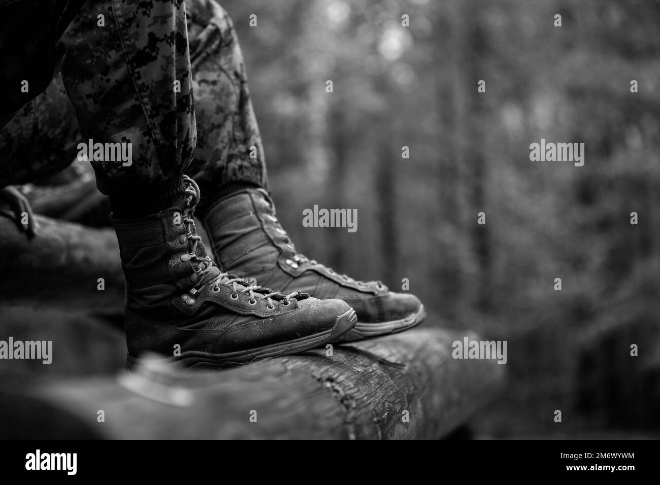 ÉTATS-UNIS Marines avec 3rd Marine Logistics Group, glisse un obstacle ...
