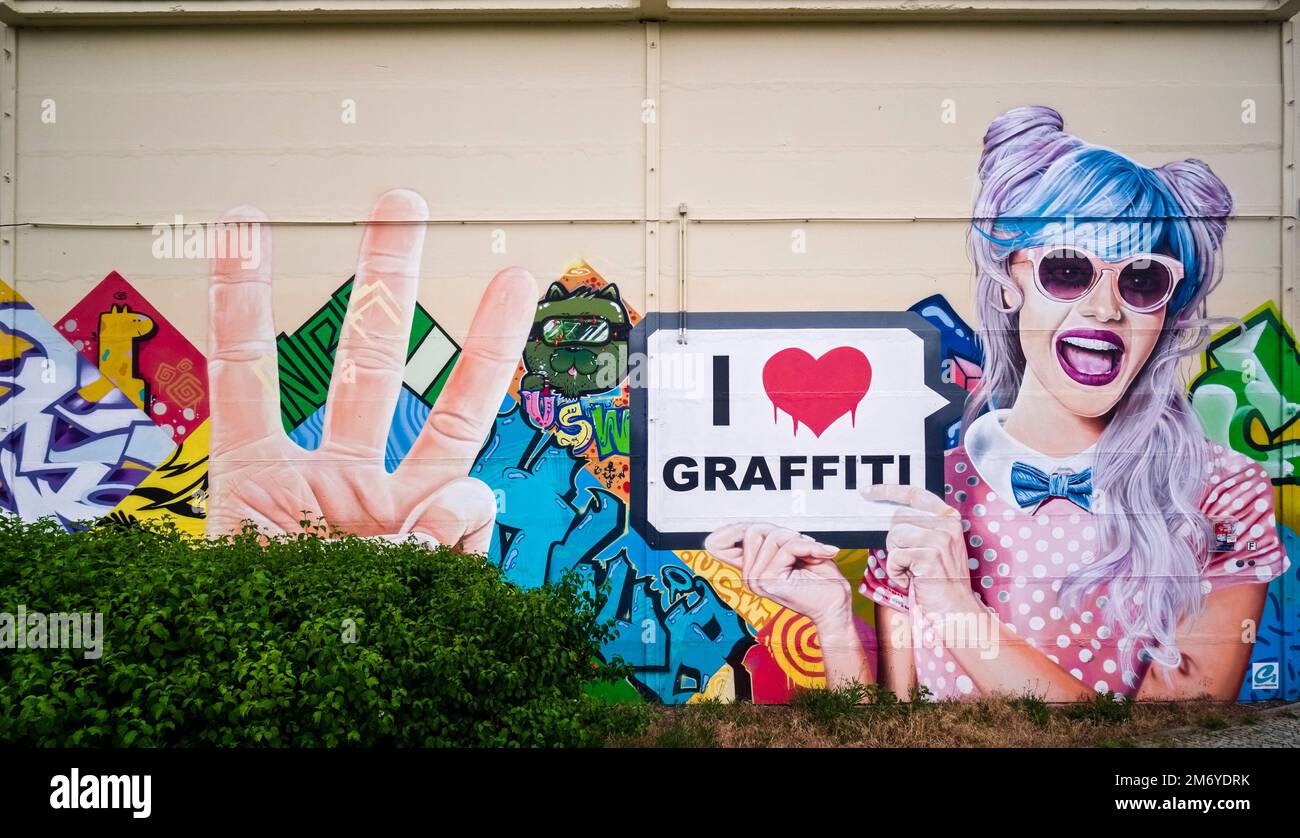 Grafitti coloré avec le portrait d'une jeune femme loughing disant que ...