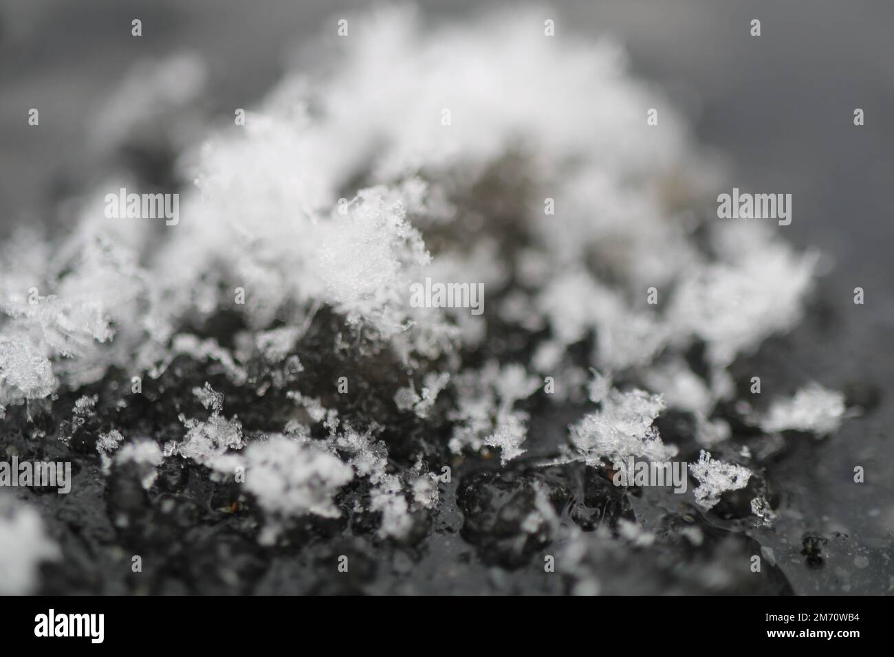 Fonte des neiges au sol Banque de photographies et d’images à haute ...