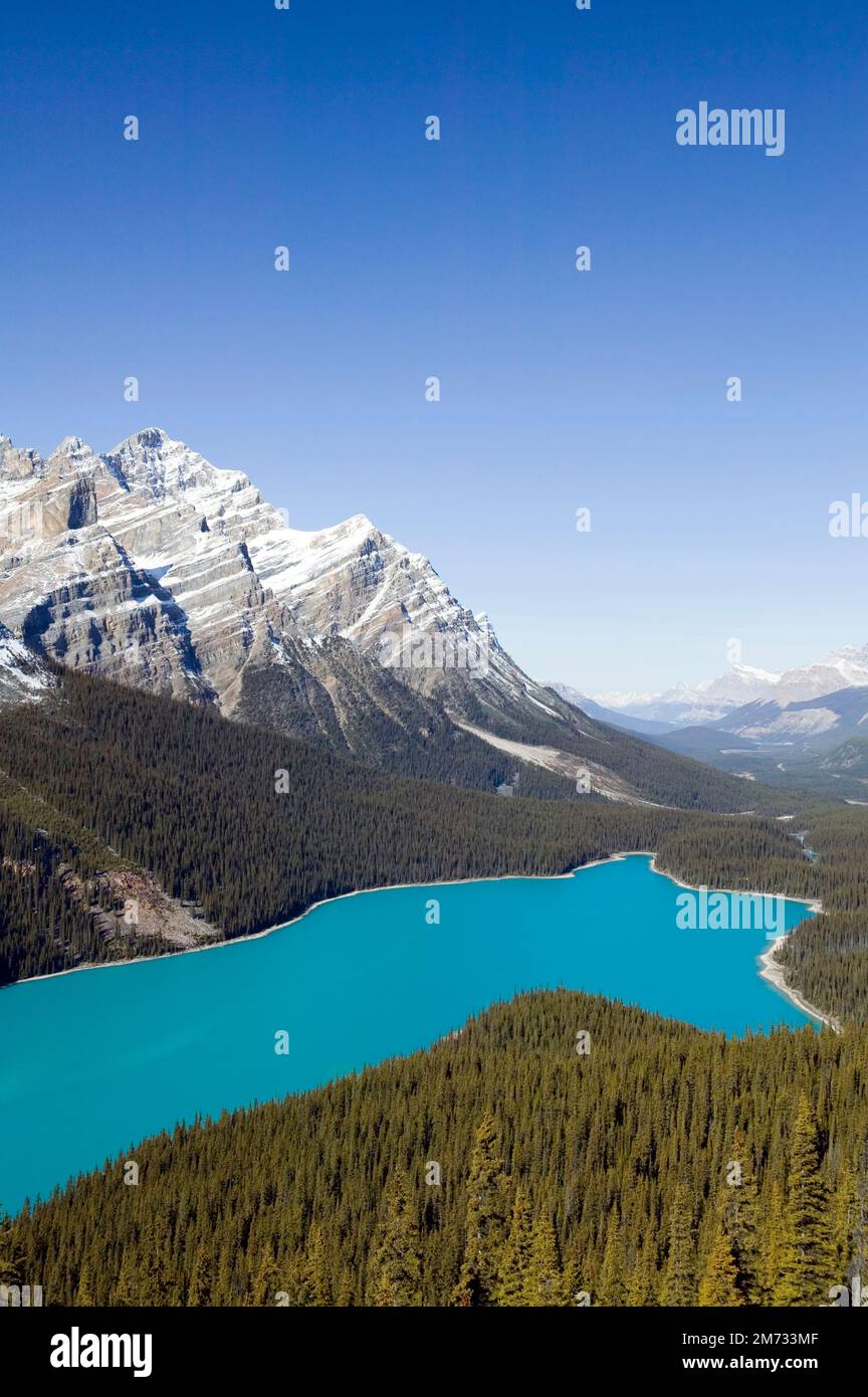 Le lac Peyto est un lac alimenté par des glaciers dans le parc national ...