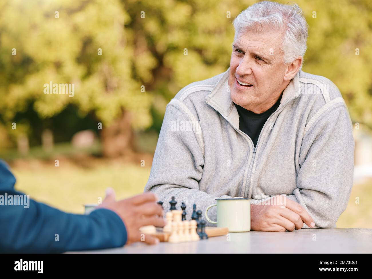 Échecs, nature et retraite avec des amis seniors jouant un jeu de ...