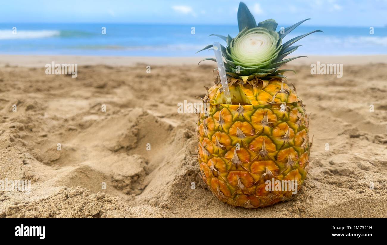 Plantation d'ananas des caraïbes Banque de photographies et d’images à ...