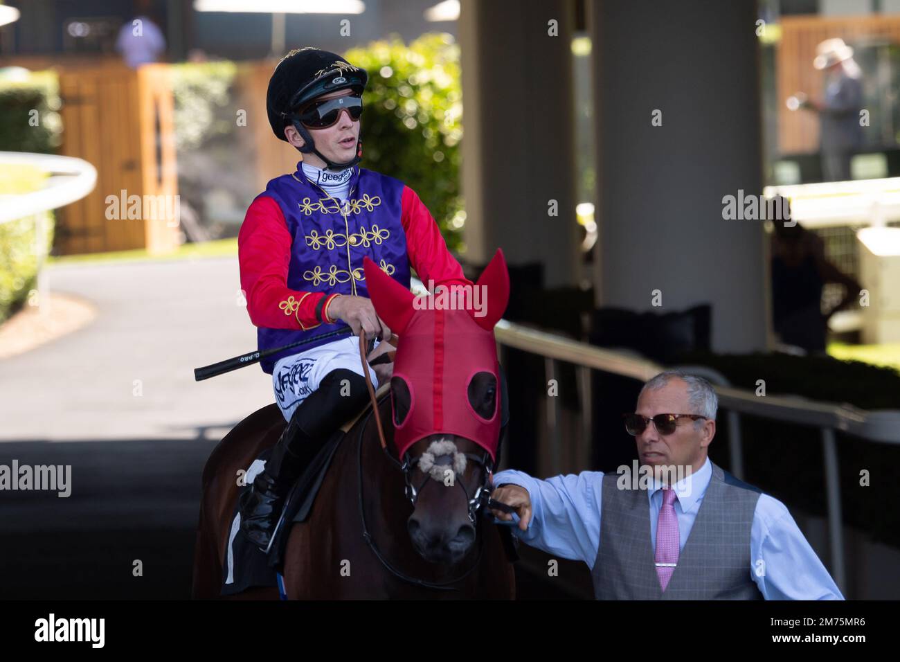 Ascot, Berkshire, Royaume-Uni. 9th juillet 2022. Sa Majesté le cheval ...