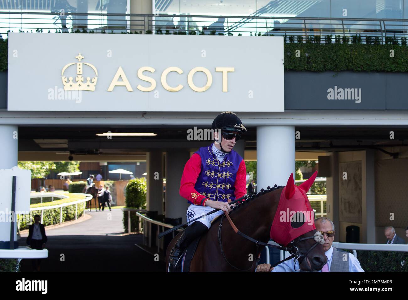 Ascot, Berkshire, Royaume-Uni. 9th juillet 2022. Sa Majesté le cheval ...