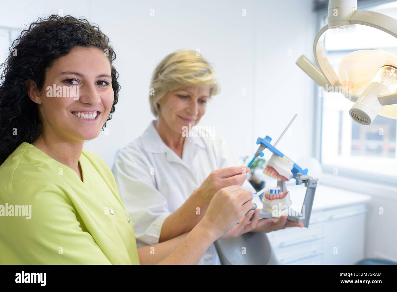 Brushing teeth demonstration Banque de photographies et d’images à ...