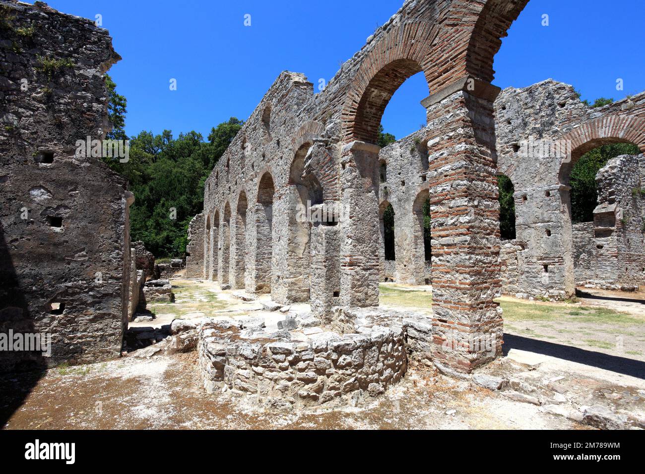 Ruines de la Grande Basillica, Butrint antique, site classé au ...