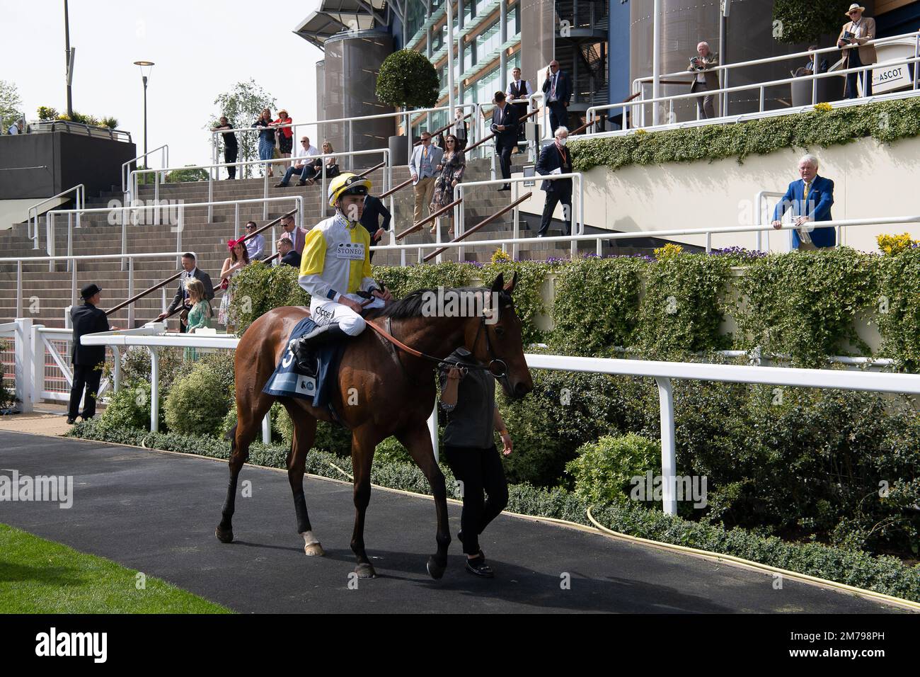 Maureen tucker Banque de photographies et d’images à haute résolution ...