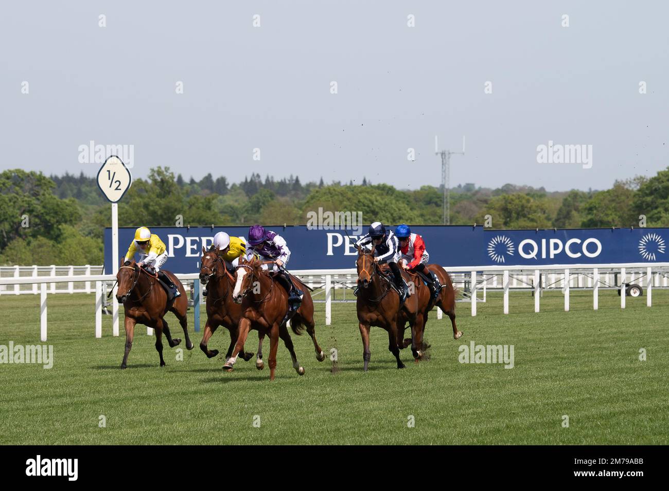 Maureen tucker Banque de photographies et d’images à haute résolution ...