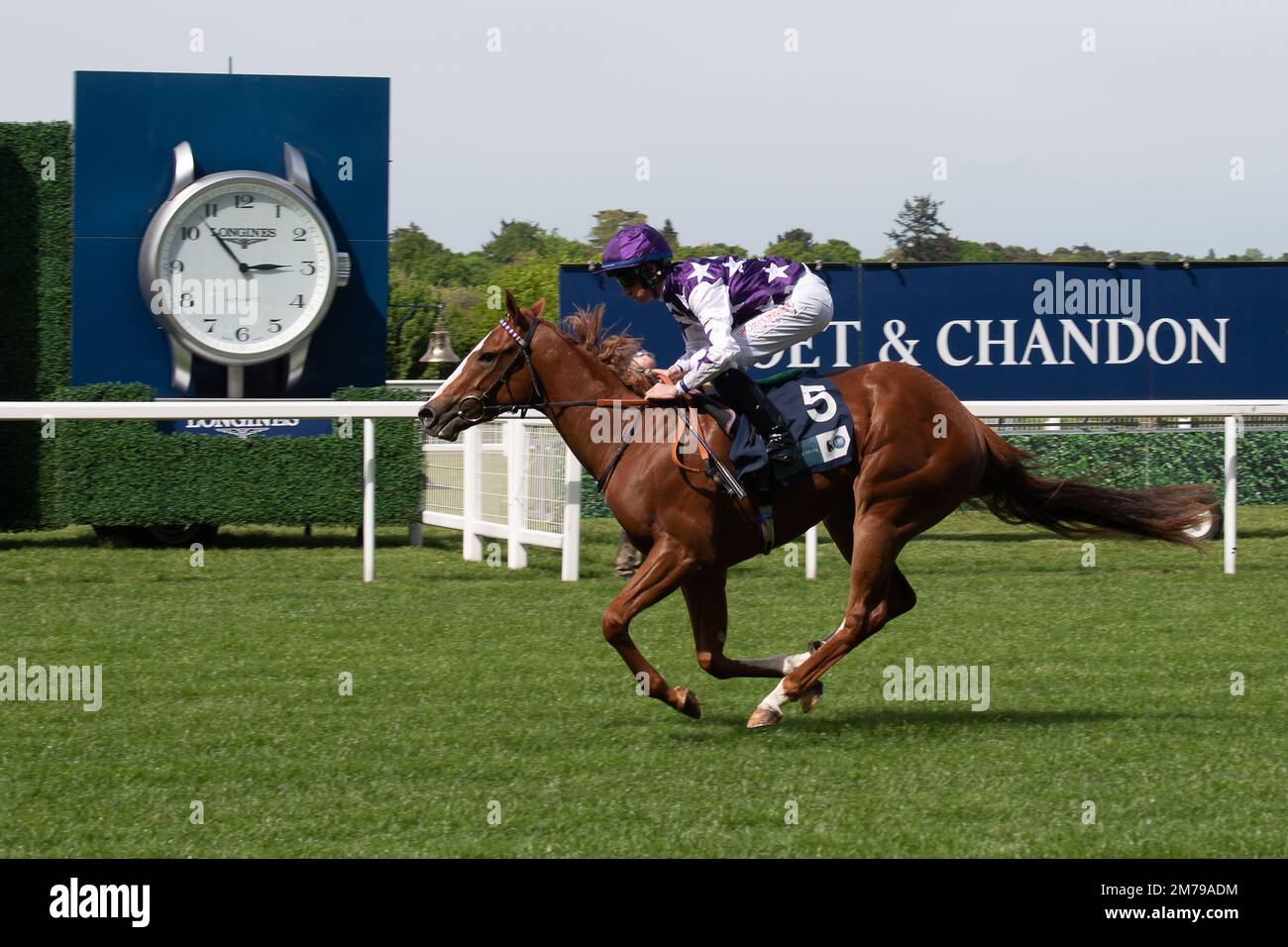 Maureen tucker Banque de photographies et d’images à haute résolution ...