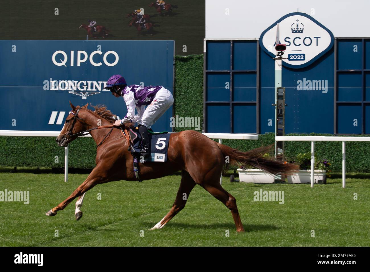 Maureen tucker Banque de photographies et d’images à haute résolution ...