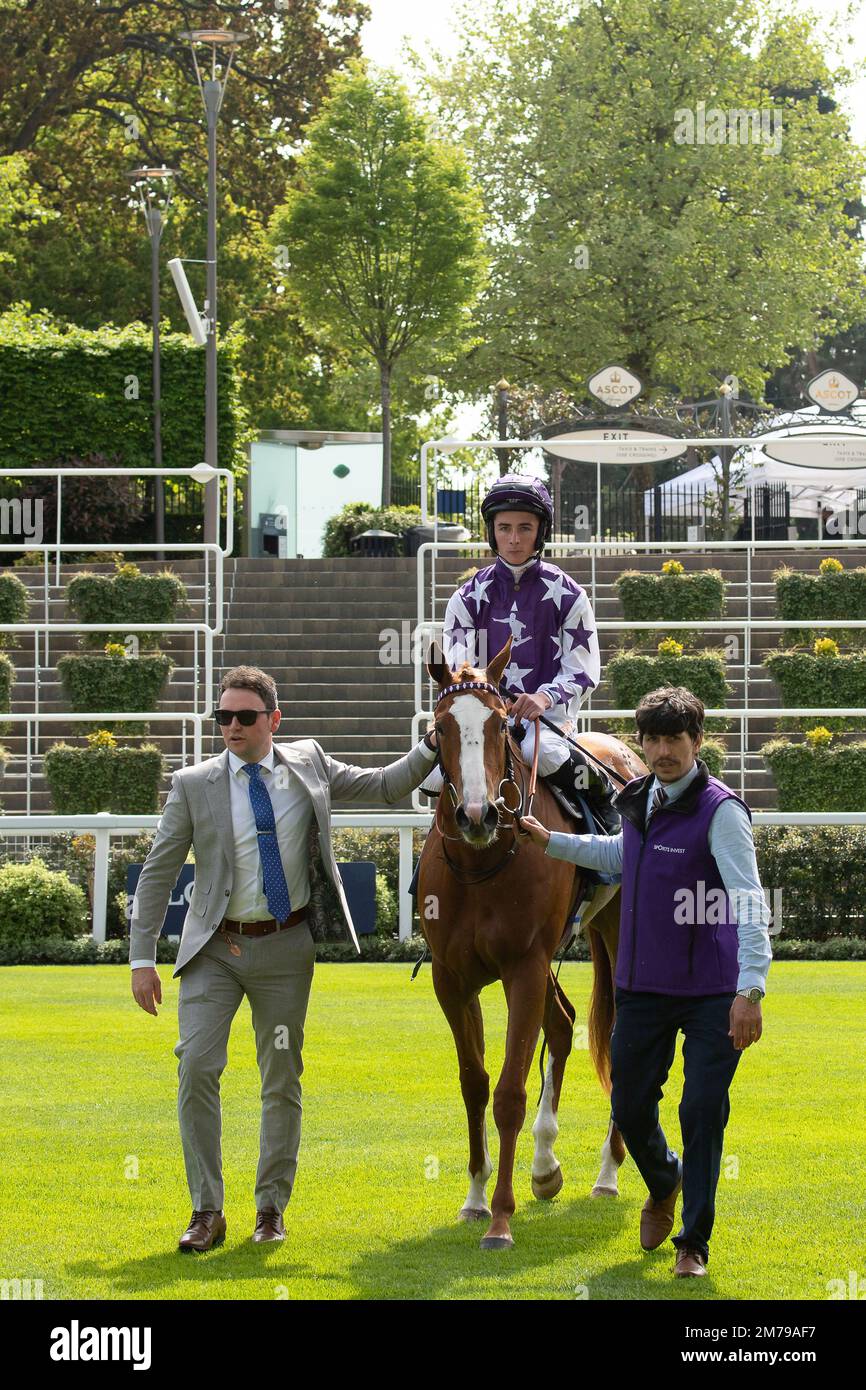 Maureen tucker Banque de photographies et d’images à haute résolution ...