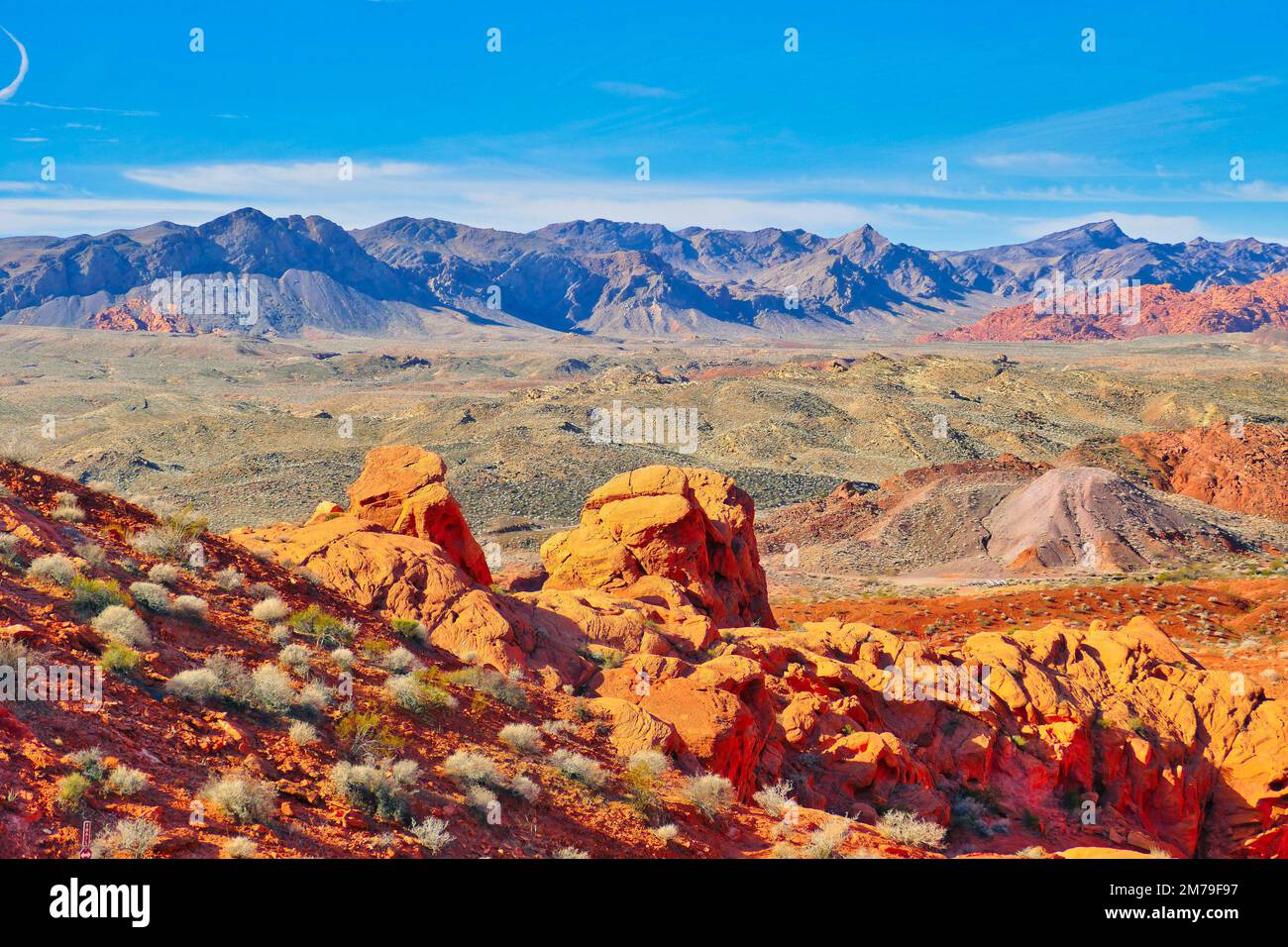 Paysage désertique aride avec des roches rouges érodées, une végétation ...
