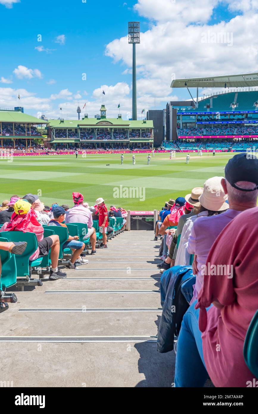 Match de cricket test rose sydney Banque de photographies et d’images à ...