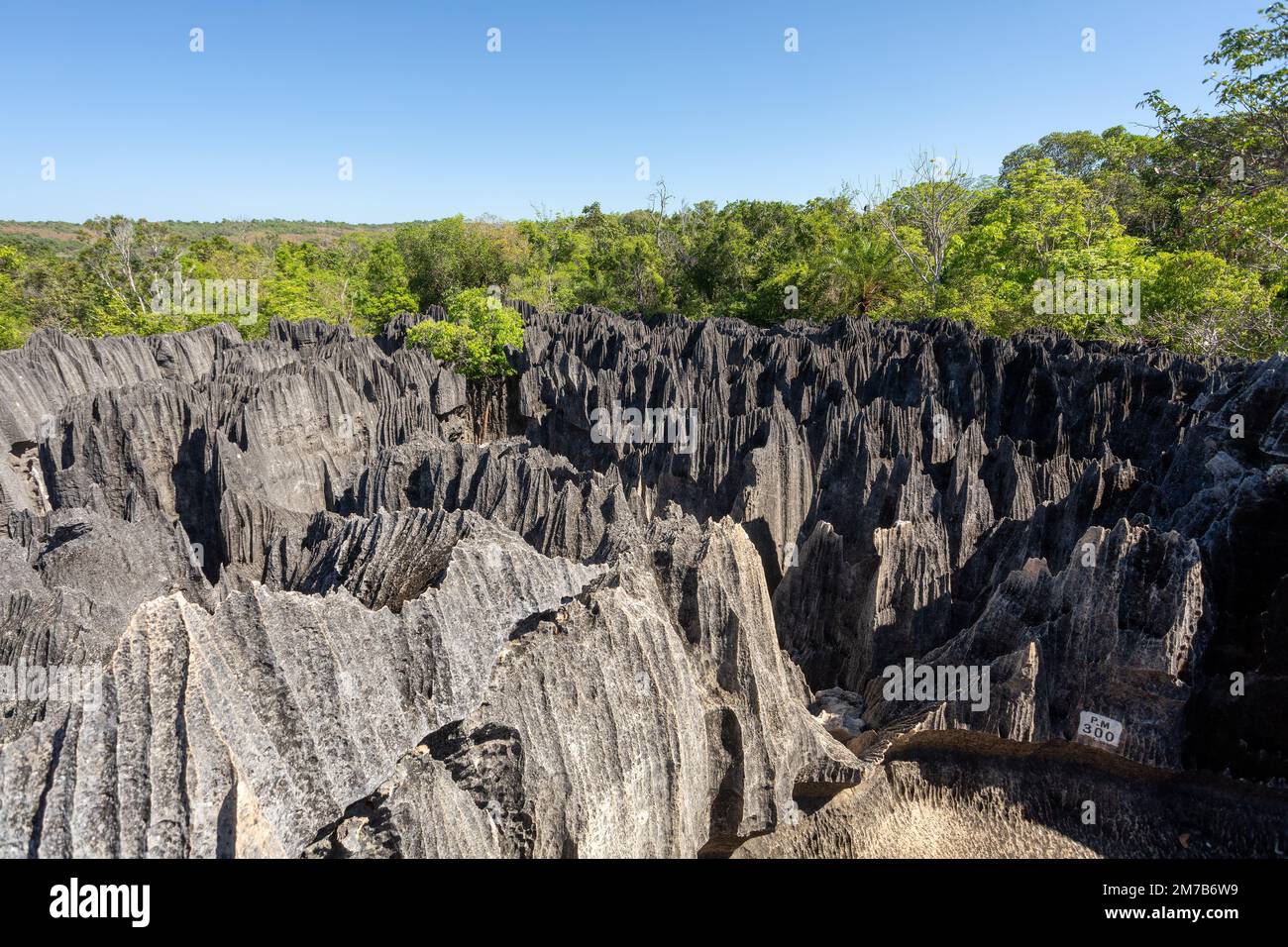 Petit Tsingy de Bemaraha, réserve naturelle stricte située près de la ...