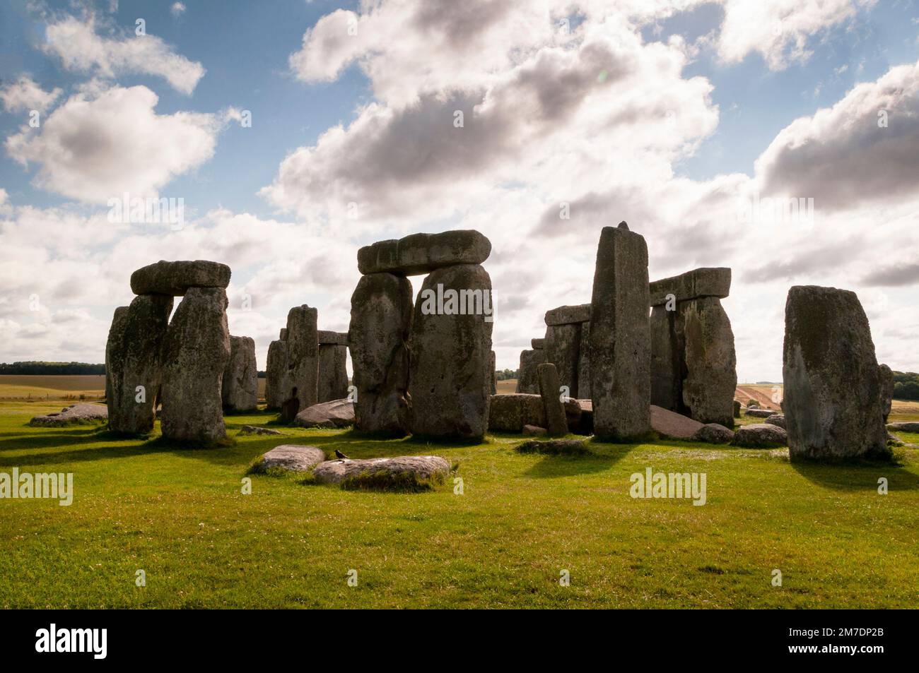 Monument préhistorique Stonehenge sur la plaine de Salisbury dans le ...