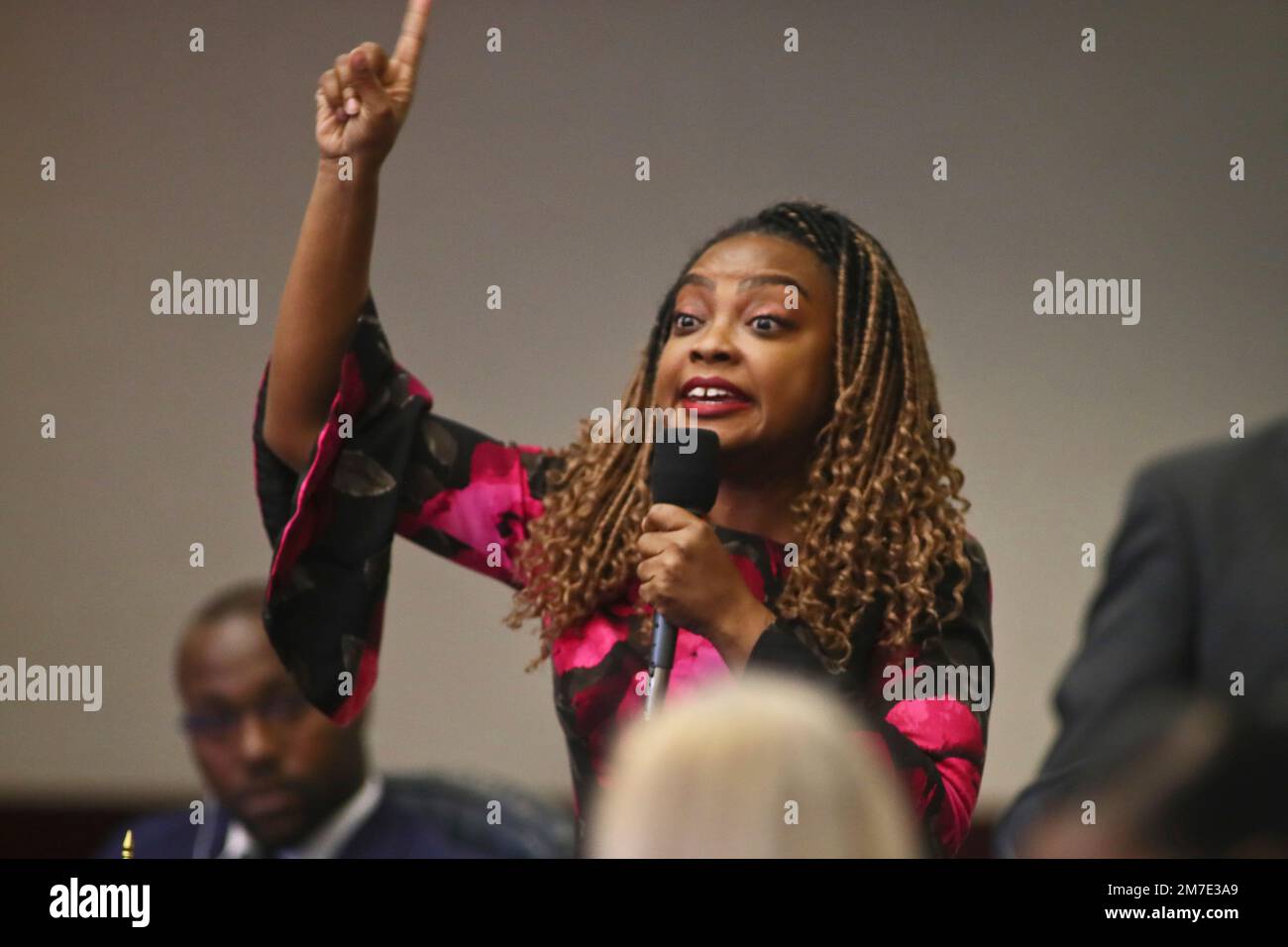 State Rep. Dotie Joseph, D-North Miami, makes a point as she presents ...