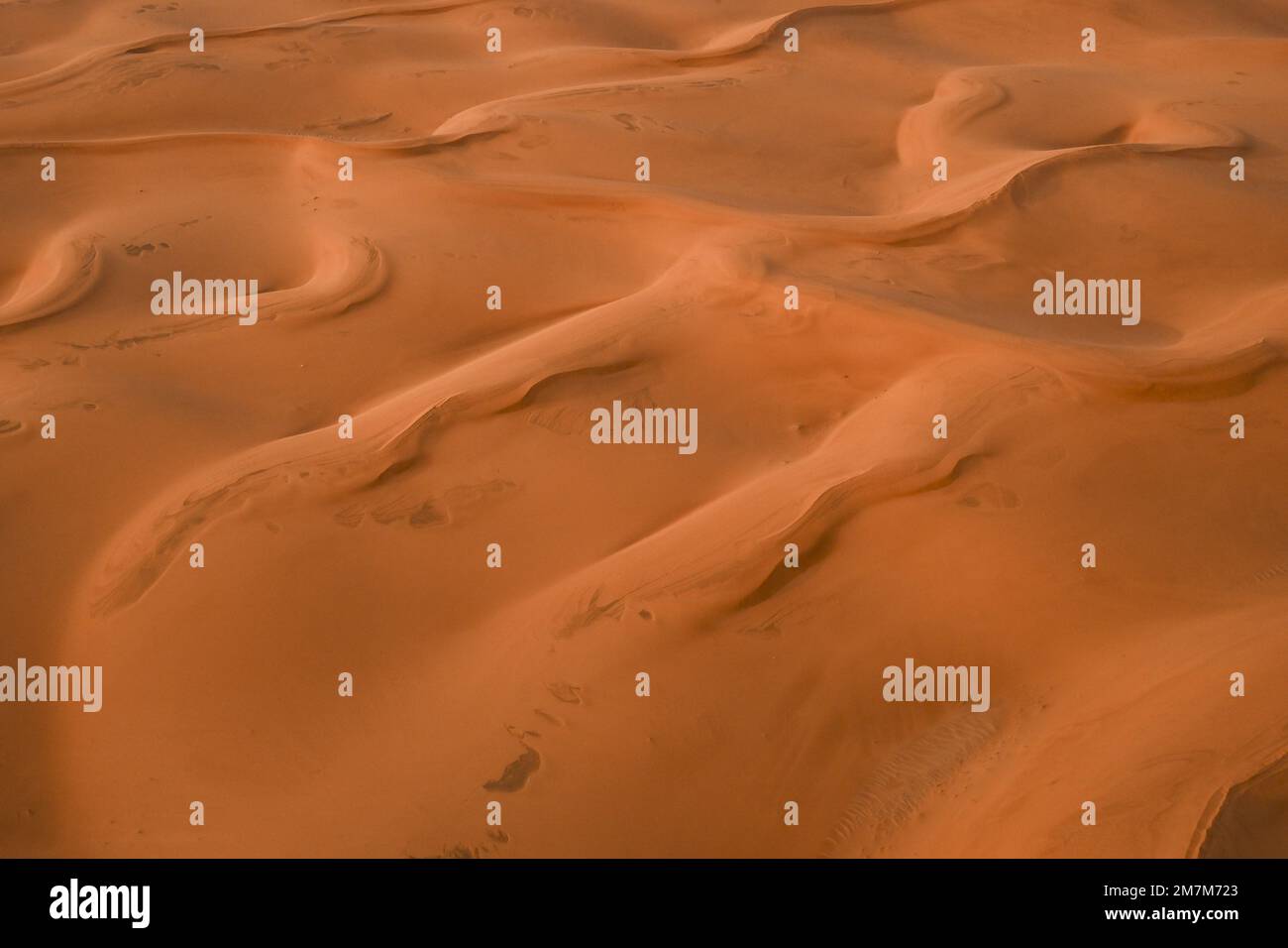 Haradh, Arabie Saoudite - 10 janvier 2023, Paysage pendant la phase 9 ...