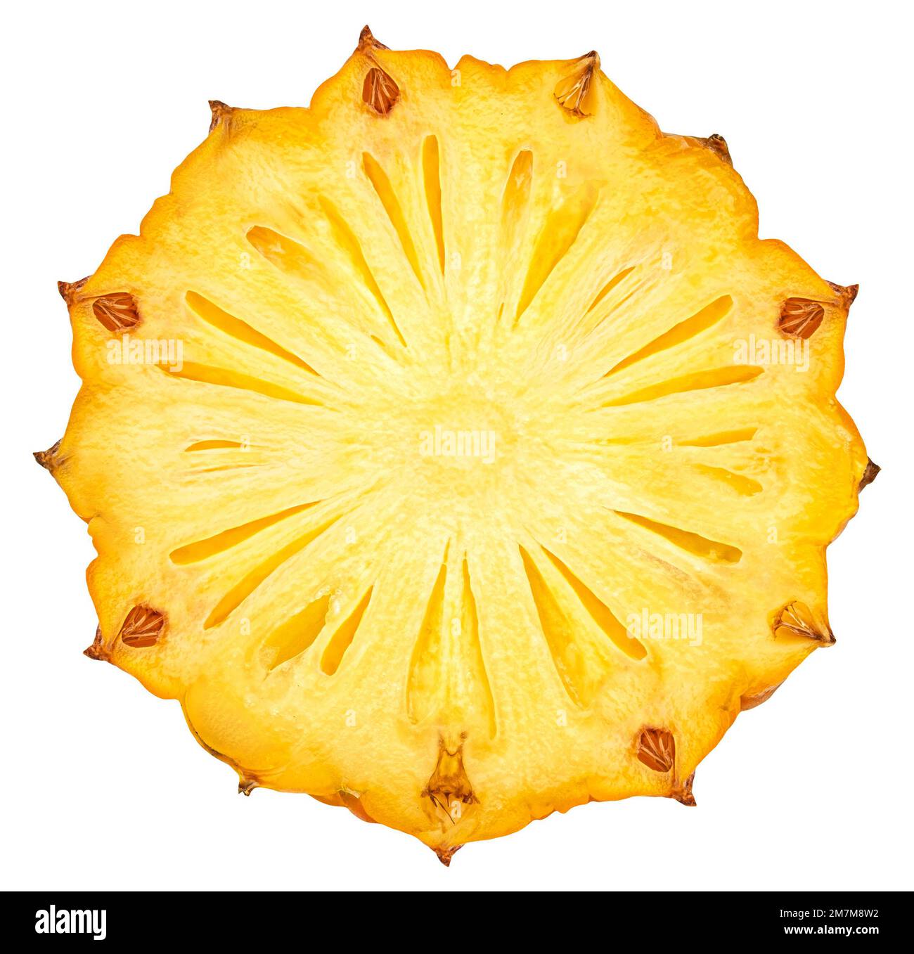 Ananas tranche Banque de photographies et d’images à haute résolution ...