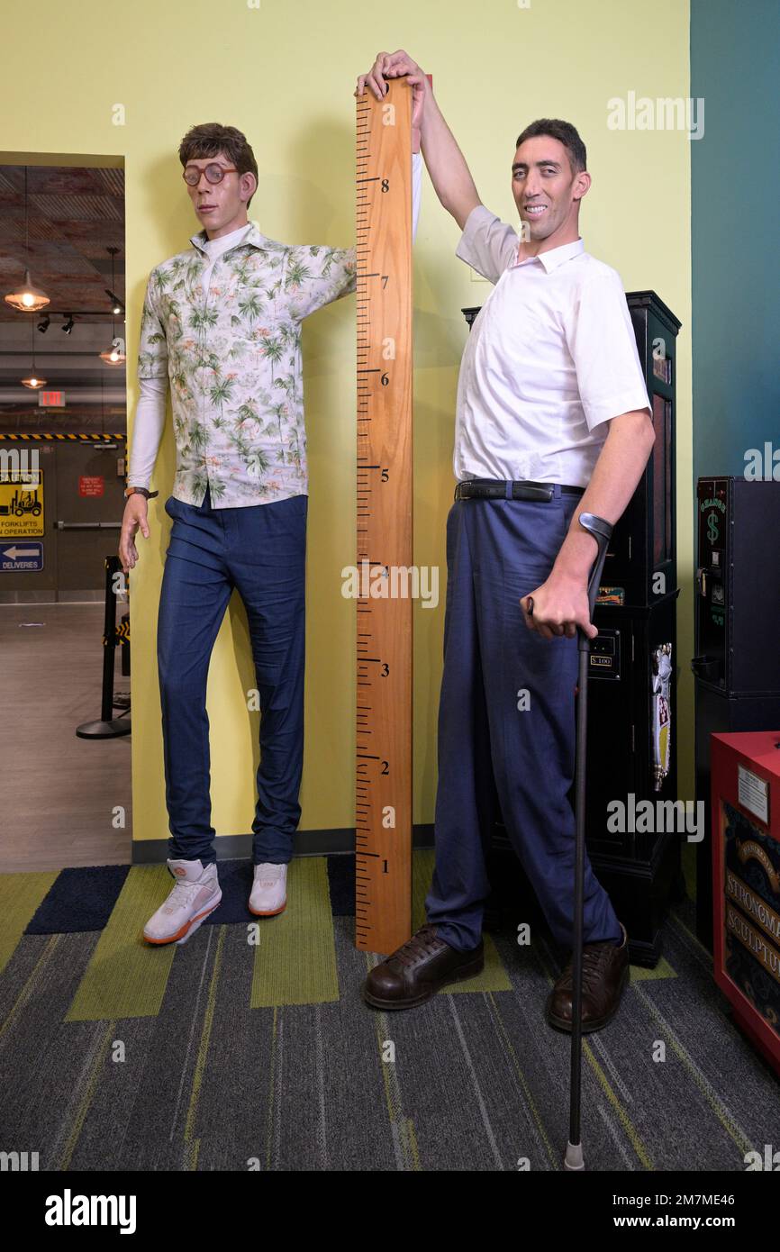 IMAGE DISTRIBUTED FOR RIPLEY ENTERTAINMENT INC. - Sultan Kösen, of ...