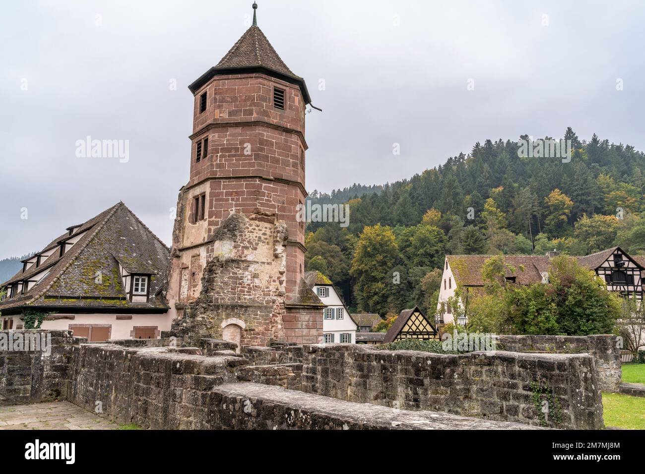 Europe, Allemagne, Sud de l'Allemagne, Bade-Wurtemberg, Forêt Noire ...
