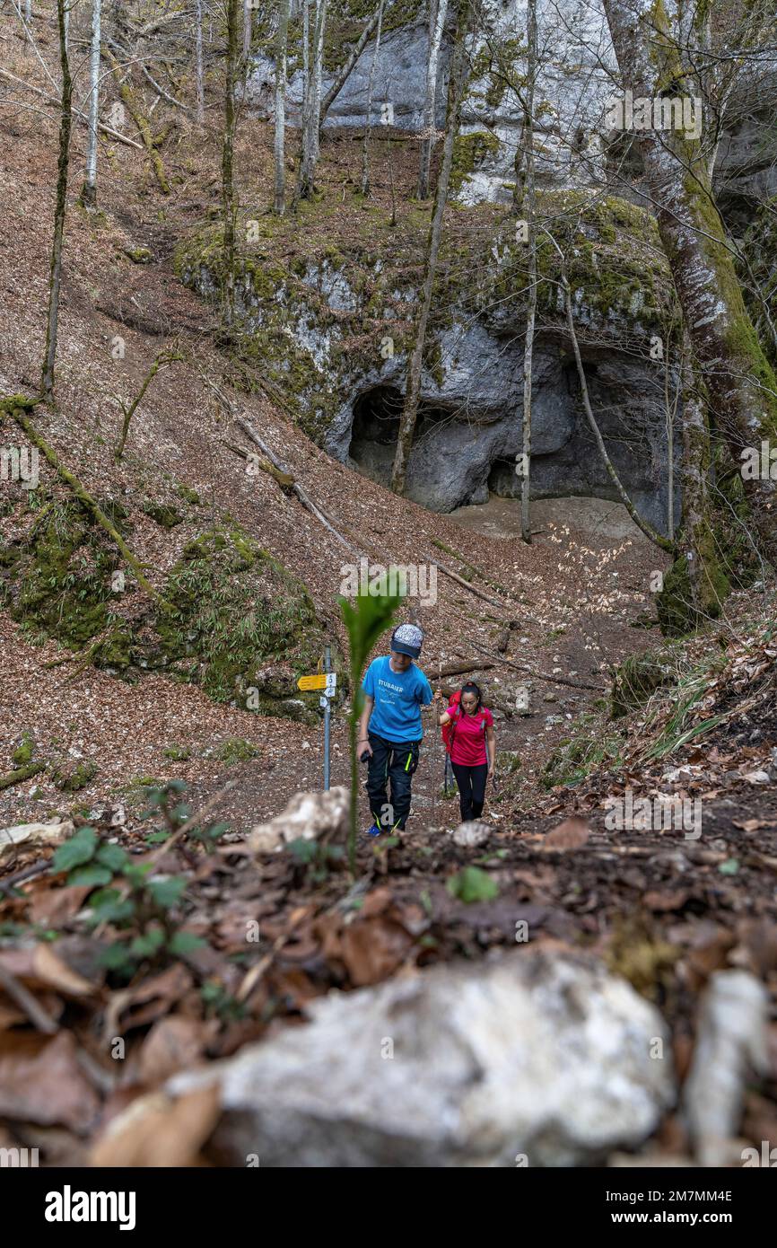 Europe, Allemagne, Sud de l'Allemagne, Bade-Wurtemberg, vallée du ...
