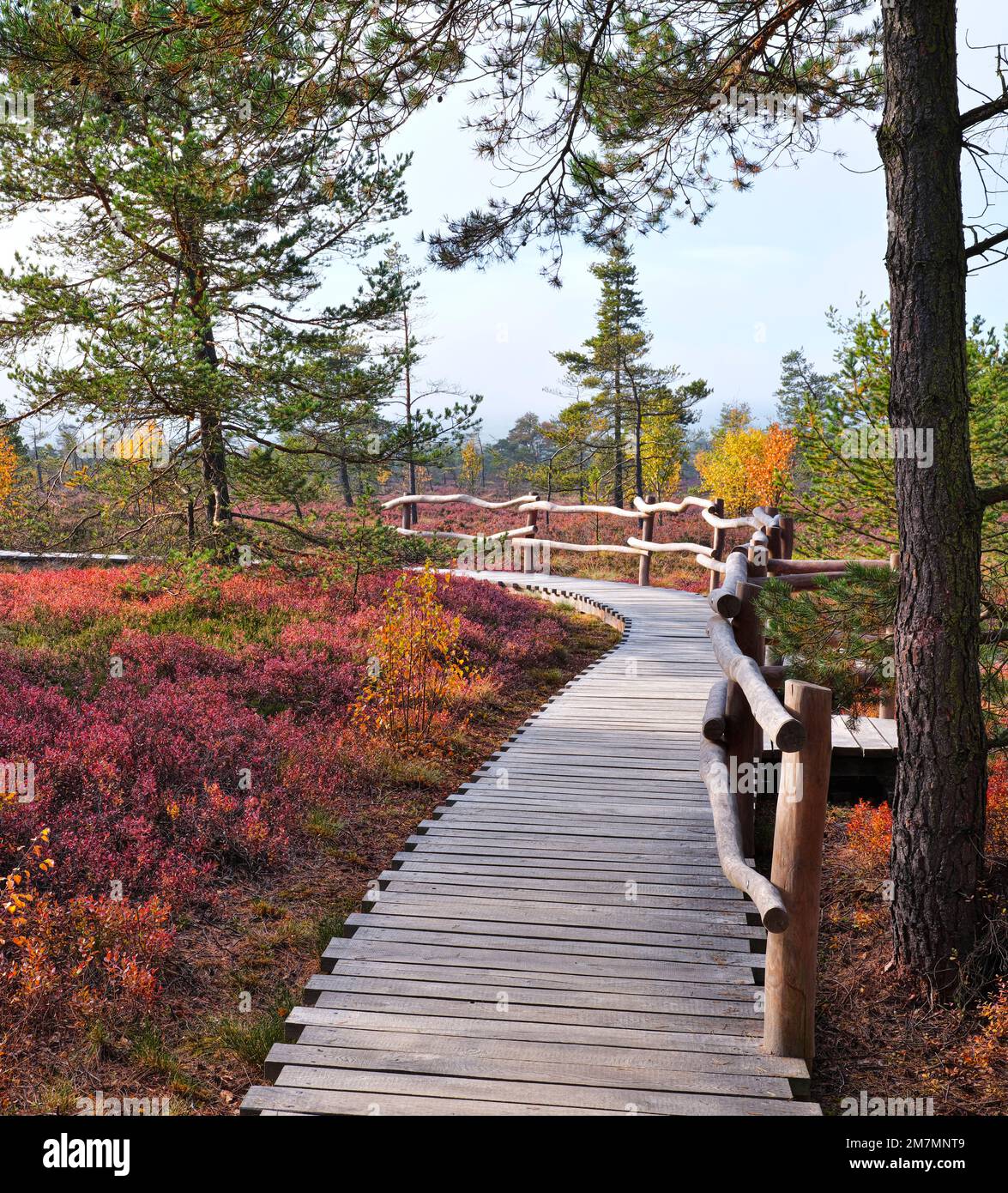 Parc naturel du rhon bavarois Banque de photographies et d’images à ...