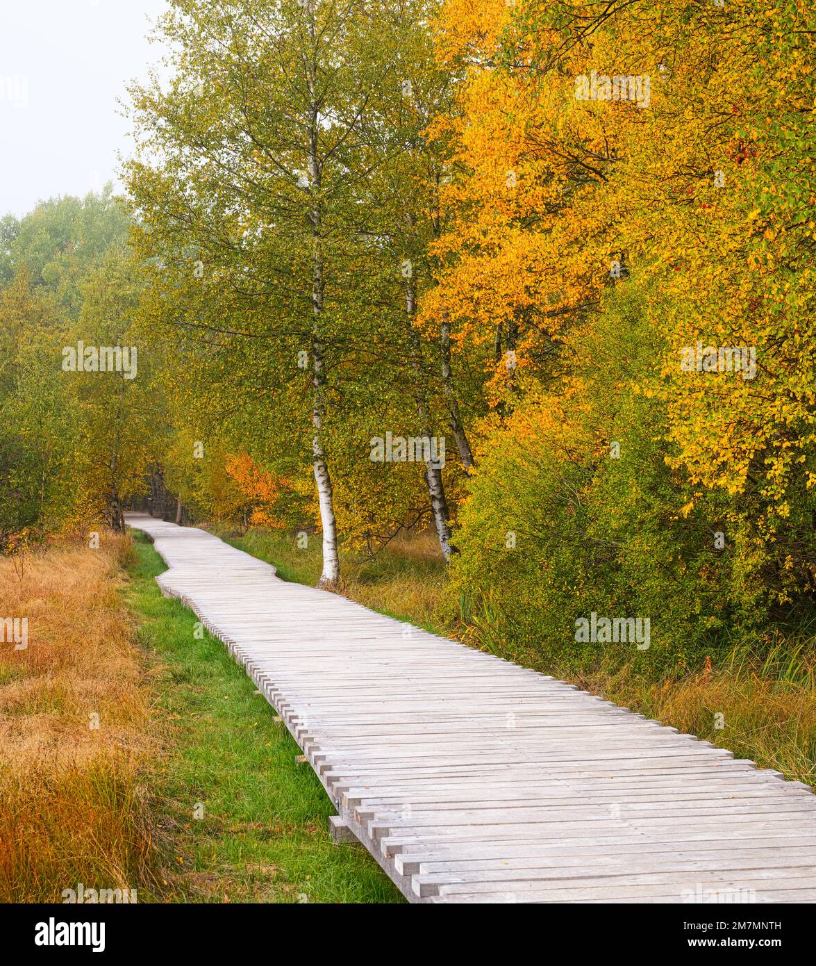 Parc naturel du rhon bavarois Banque de photographies et d’images à ...