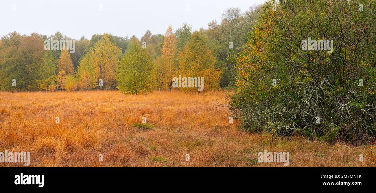 Parc naturel du rhon bavarois Banque de photographies et d’images à ...