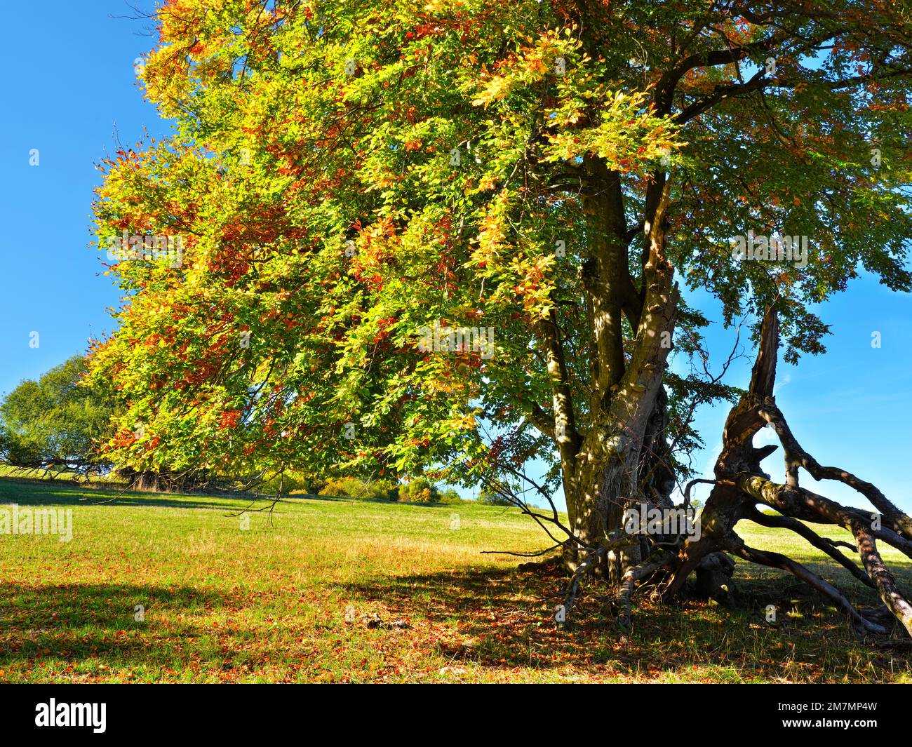 Parc naturel du rhon bavarois Banque de photographies et d’images à ...