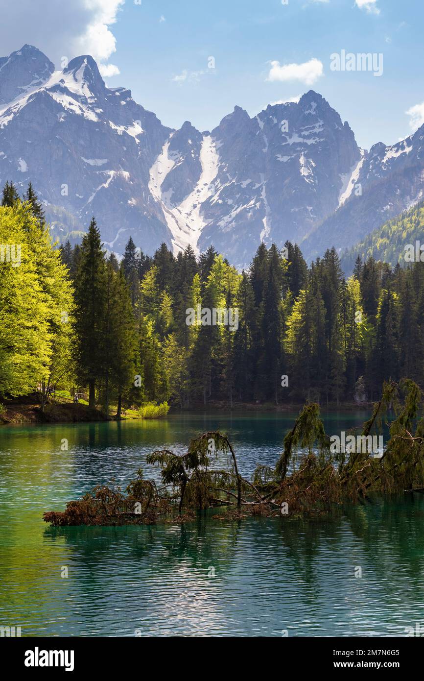 Parc naturel des lacs de fusine Banque de photographies et d’images à ...