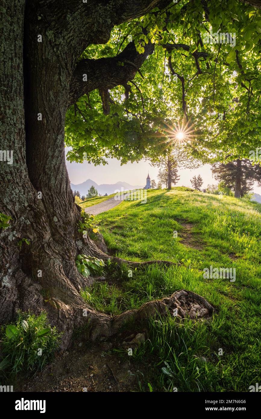 Vue sur l'église emblématique de Jamnik, avec le Mont Triglav en ...