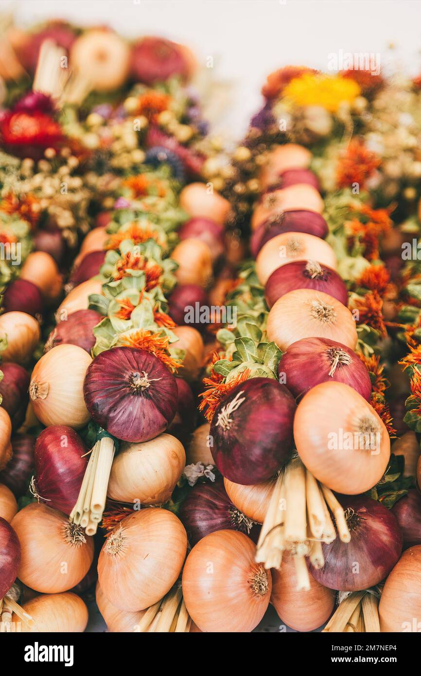 Coloriabilité des tresses d'oignon, Zibelemärit traditionnel, marché de ...