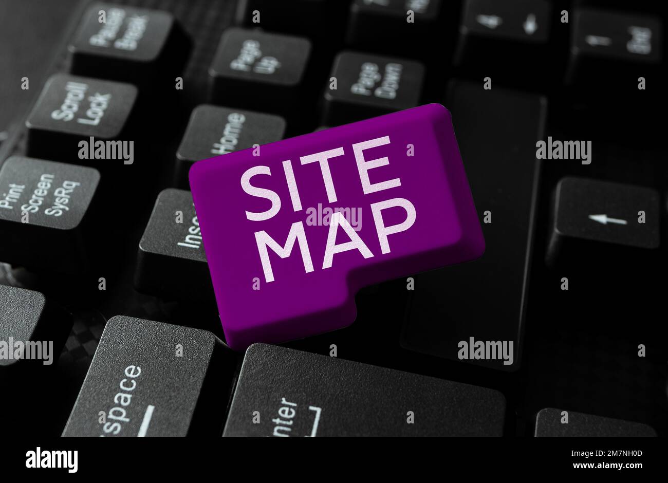 Affichage conceptuel Plan du site, idée d'entreprise conçue pour aider ...