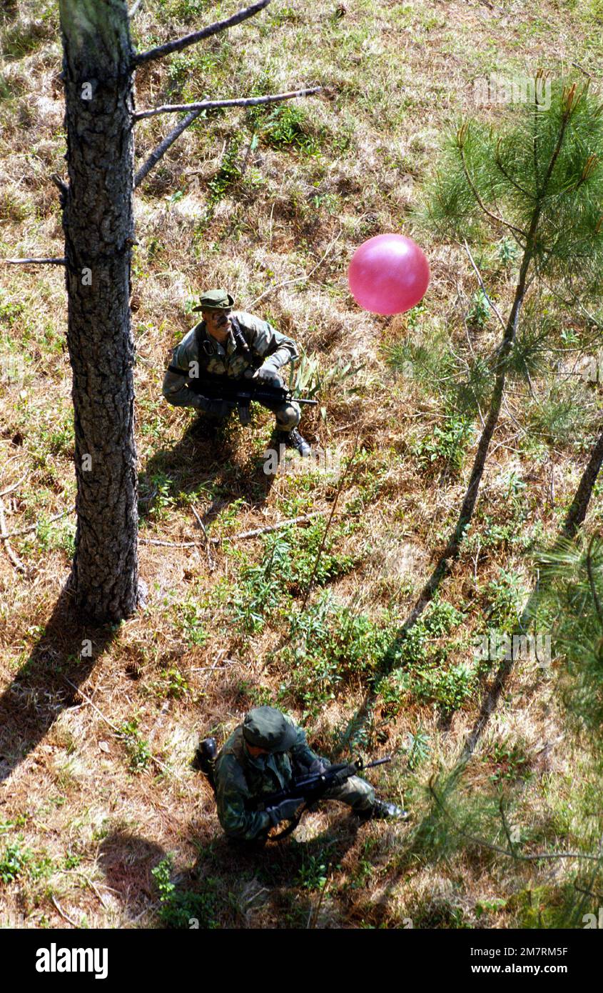 Le membre de l'équipe de contrôle du combat, SSGT Randy Carmichael, de ...