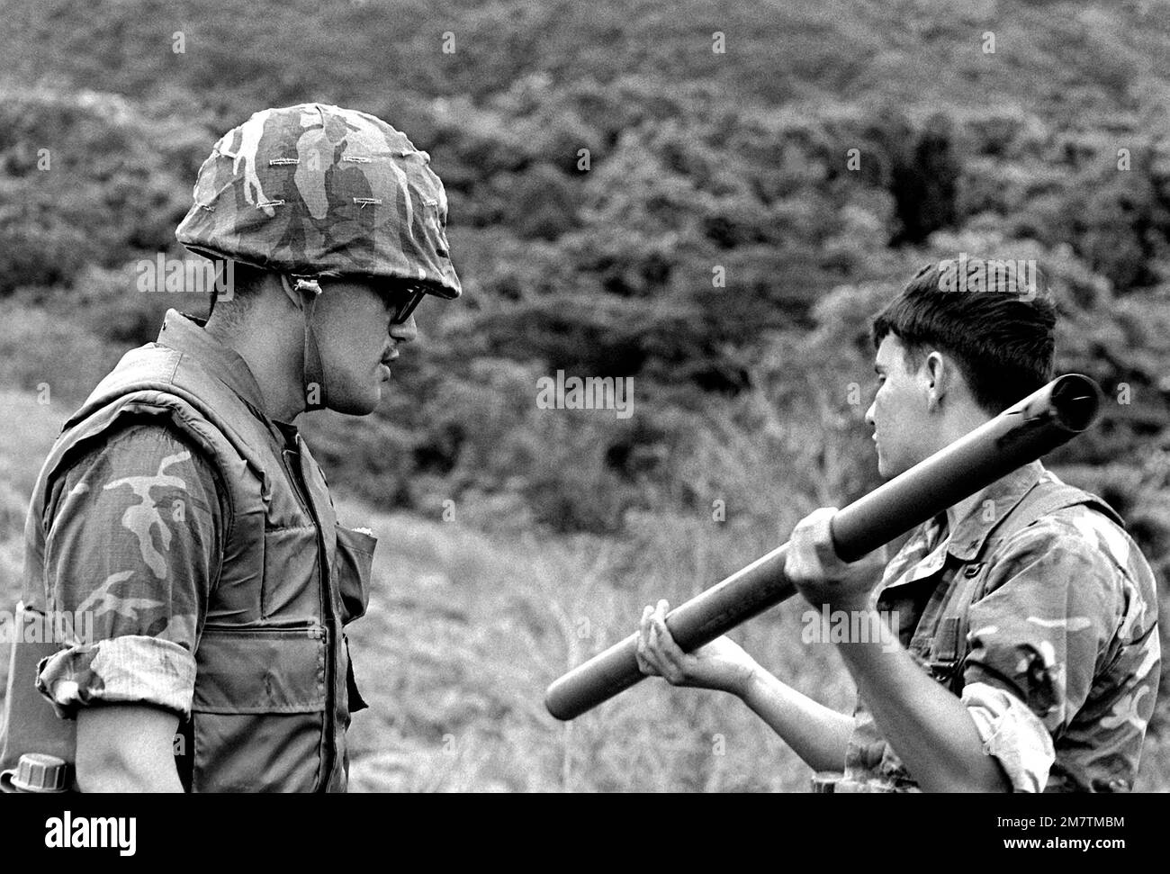 Les Marines du bataillon des ingénieurs de combat 3rd suivent une formation avec la torpille de ...