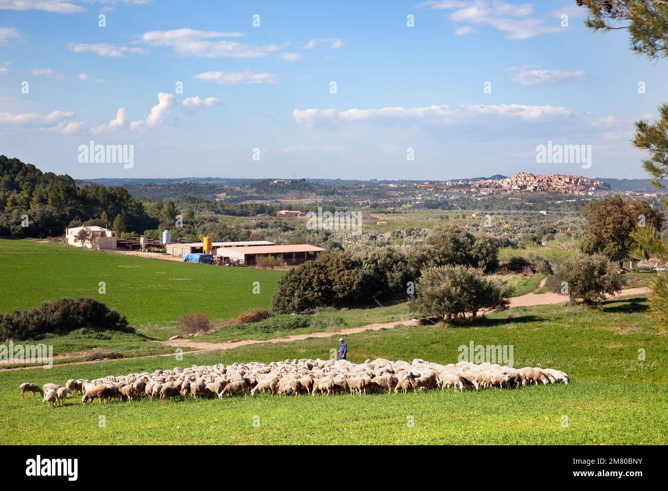 Joan berger Banque de photographies et d’images à haute résolution - Alamy