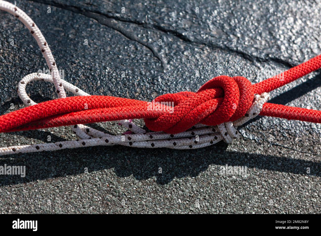 Bowline knot Banque de photographies et d’images à haute résolution - Alamy
