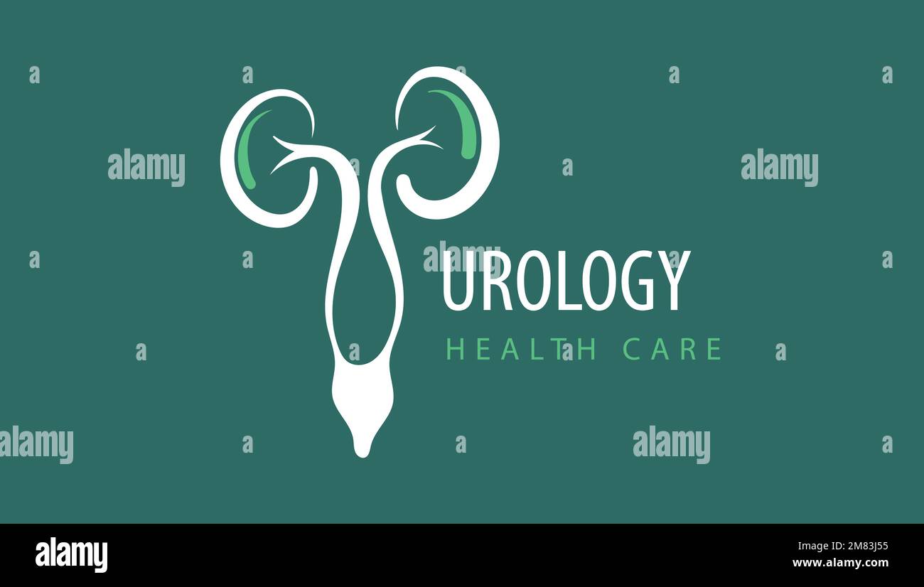 Urologie examination Banque d'images vectorielles - Alamy