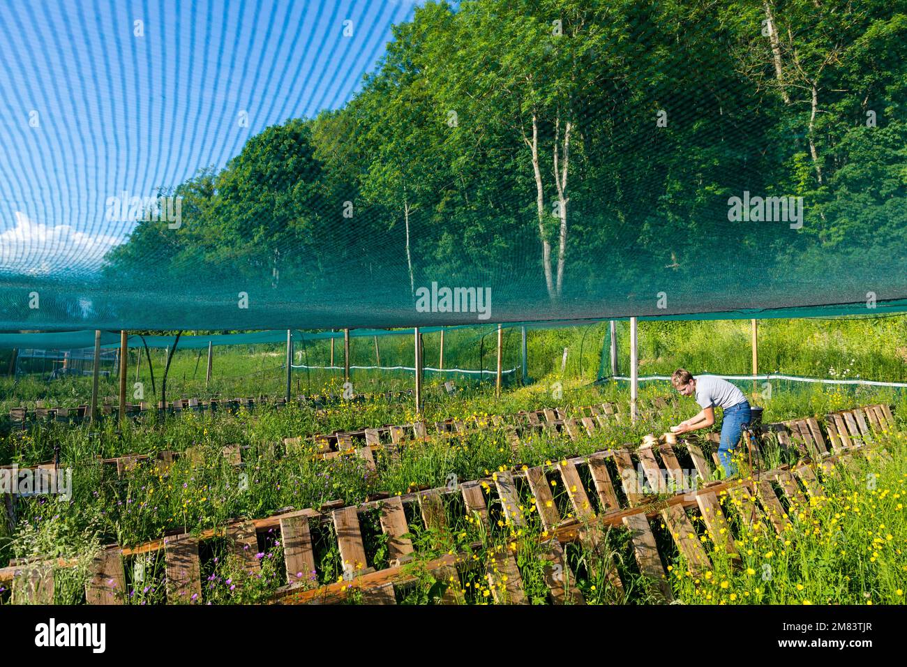 PERRINE DOUDIN, HELIXINE, ÉLEVEUR D'ESCARGOTS, PRODUCTEUR D'ESCARGOTS ...
