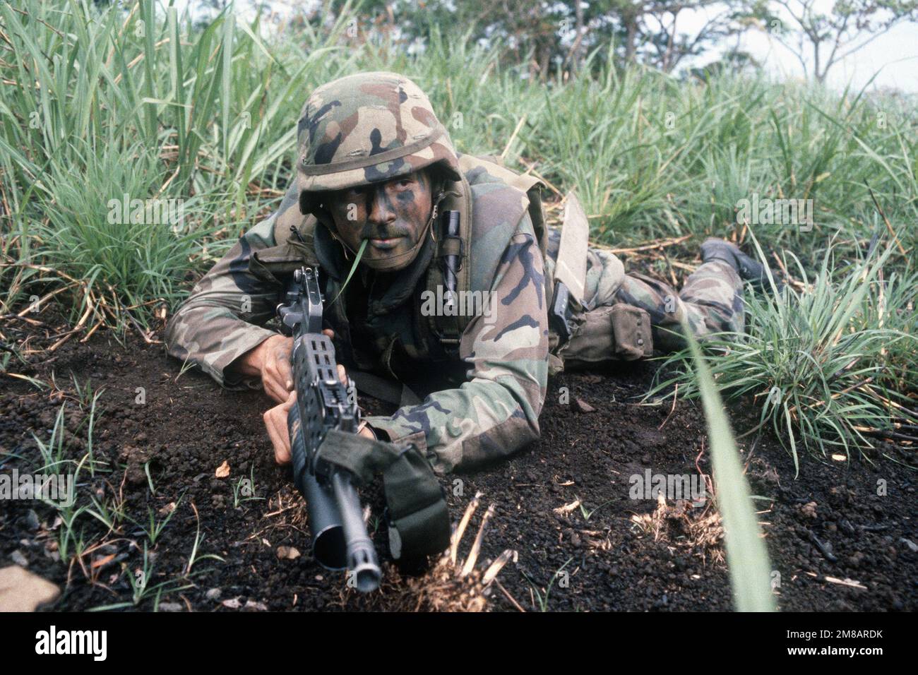 Une Marine armée d'un fusil M16A2 équipé d'un lance-grenade M203 prend ...