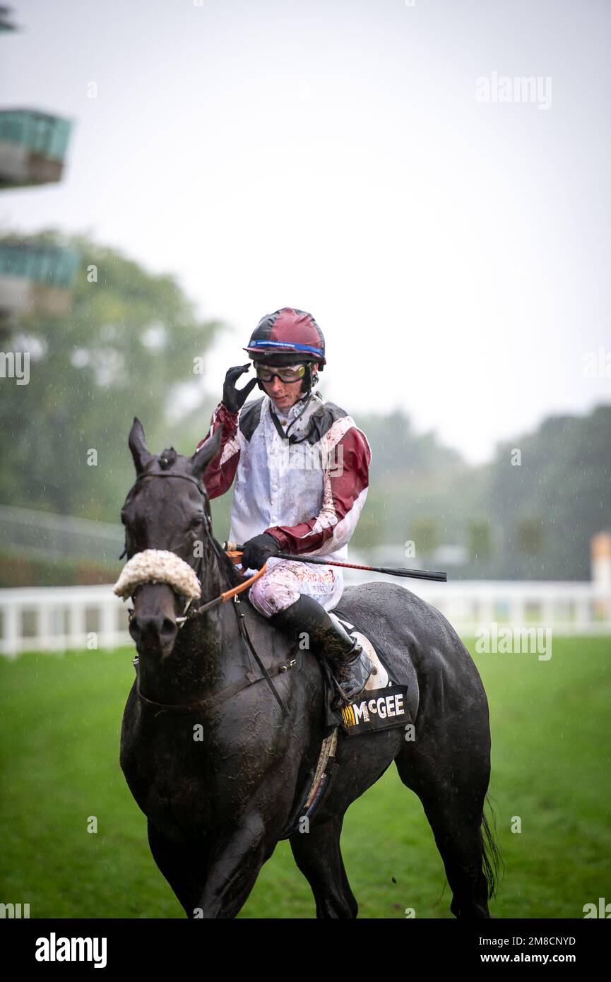 Ascot, Berkshire, Royaume-Uni. 2nd octobre 2021. Le cheval de puissance ...