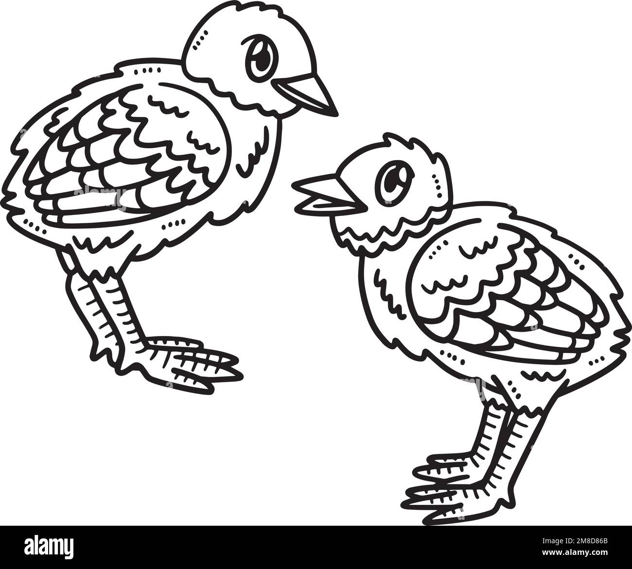 Poussin de dindon Banque de photographies et d’images à haute ...