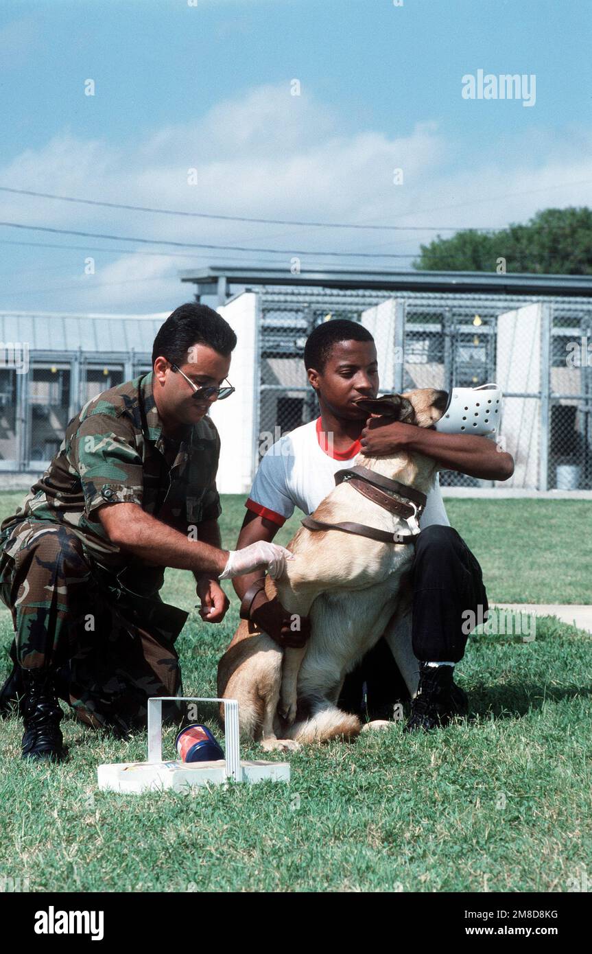 Le technicien vétérinaire PFC Rene Morales et le maître de chien civil ...