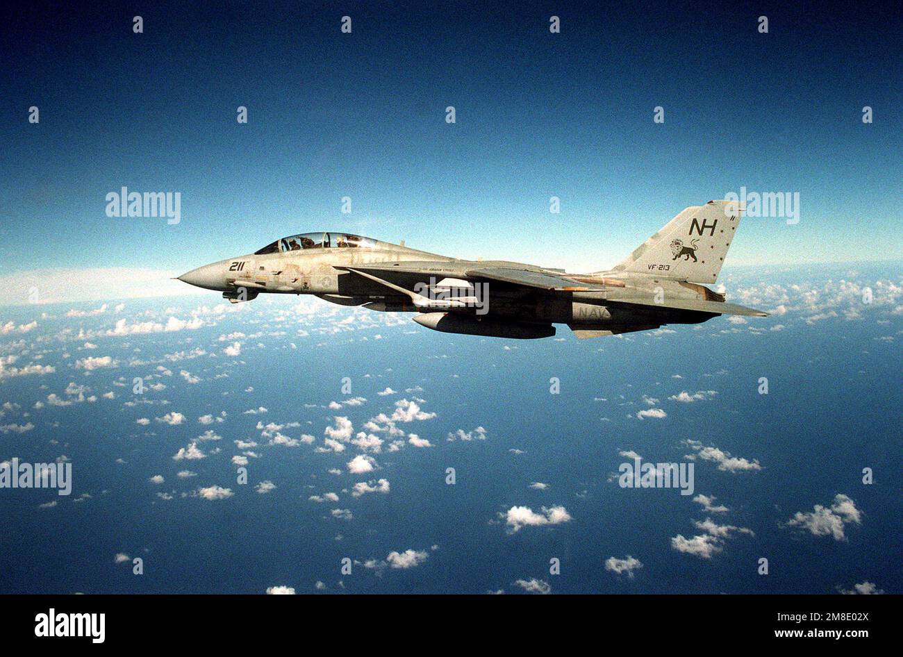 Vue du côté gauche d'un avion F-14A Tomcat du Fighter Squadron 213 (VF ...
