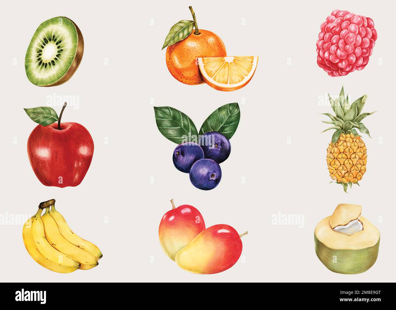 Summer fruits collection hand drawing Banque de photographies et d ...