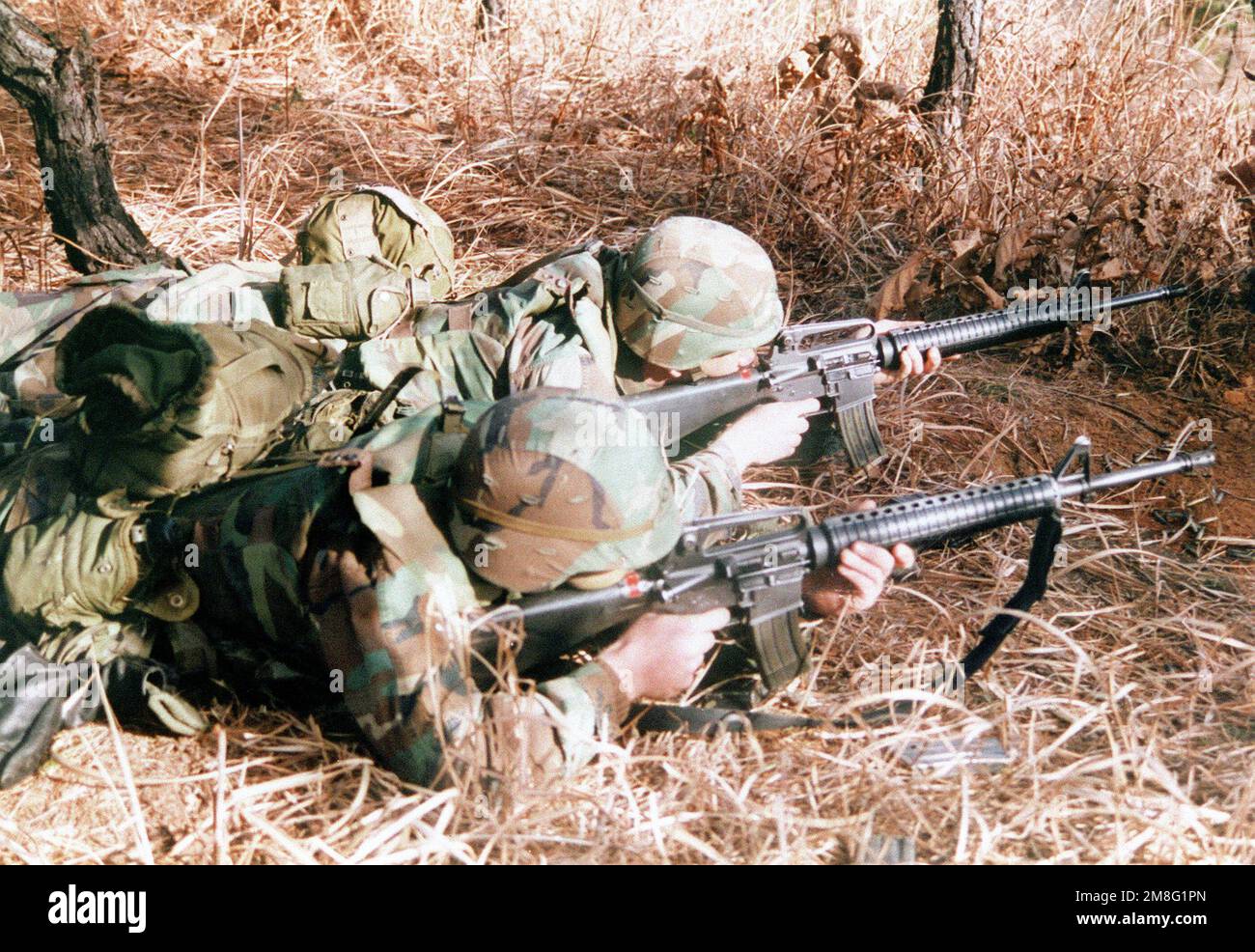 Des membres du 1st 506th Bataillon d'infanterie en position ventrale ...