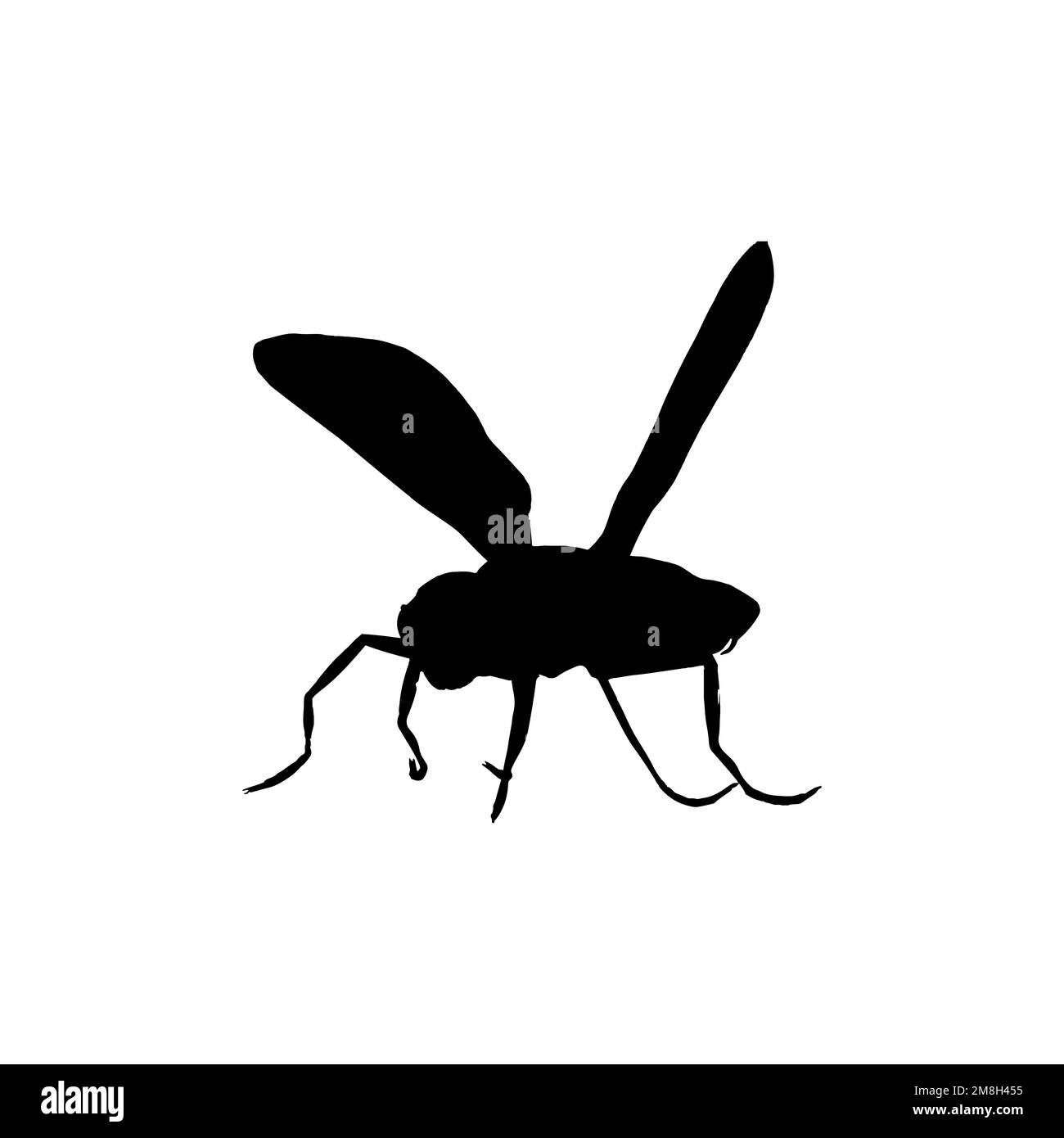 Mosquito logo vector Banque de photographies et d’images à haute ...