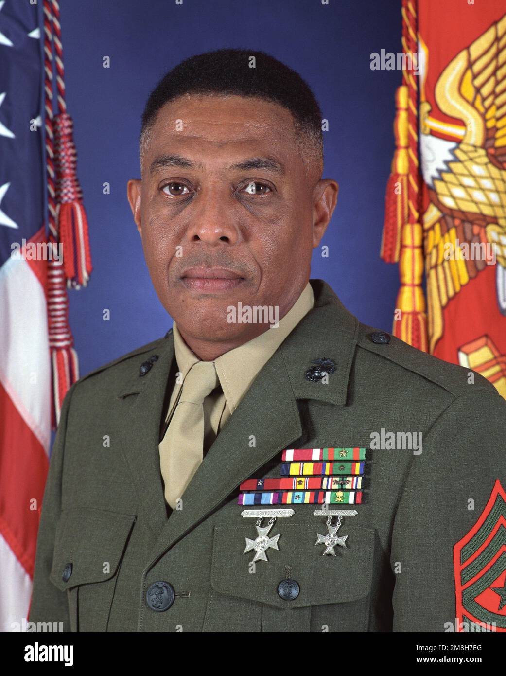 Sergeant major green Banque de photographies et d’images à haute ...