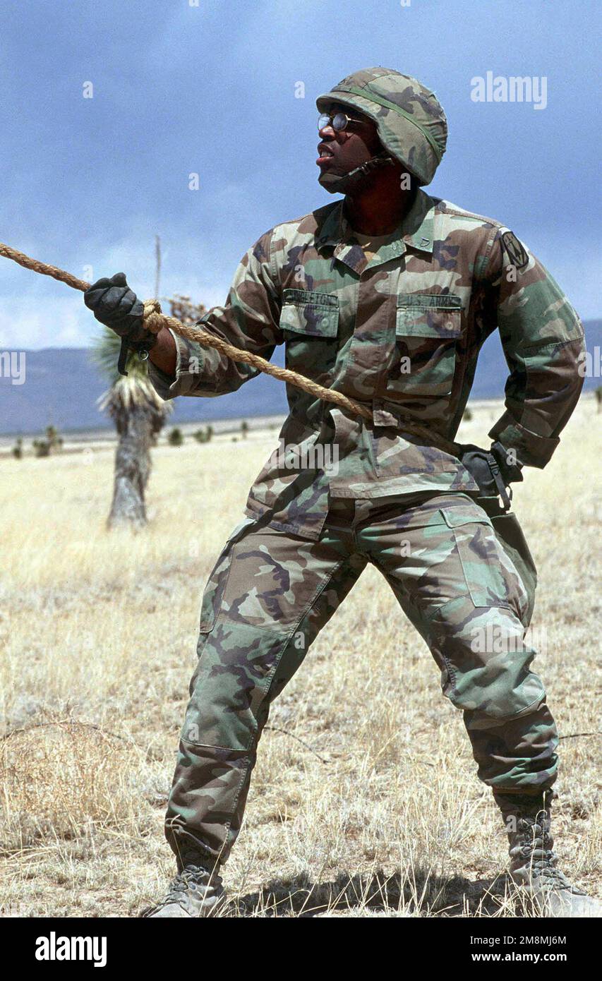 PFC Singleton de la Brigade d'artillerie de défense aérienne 31st ...